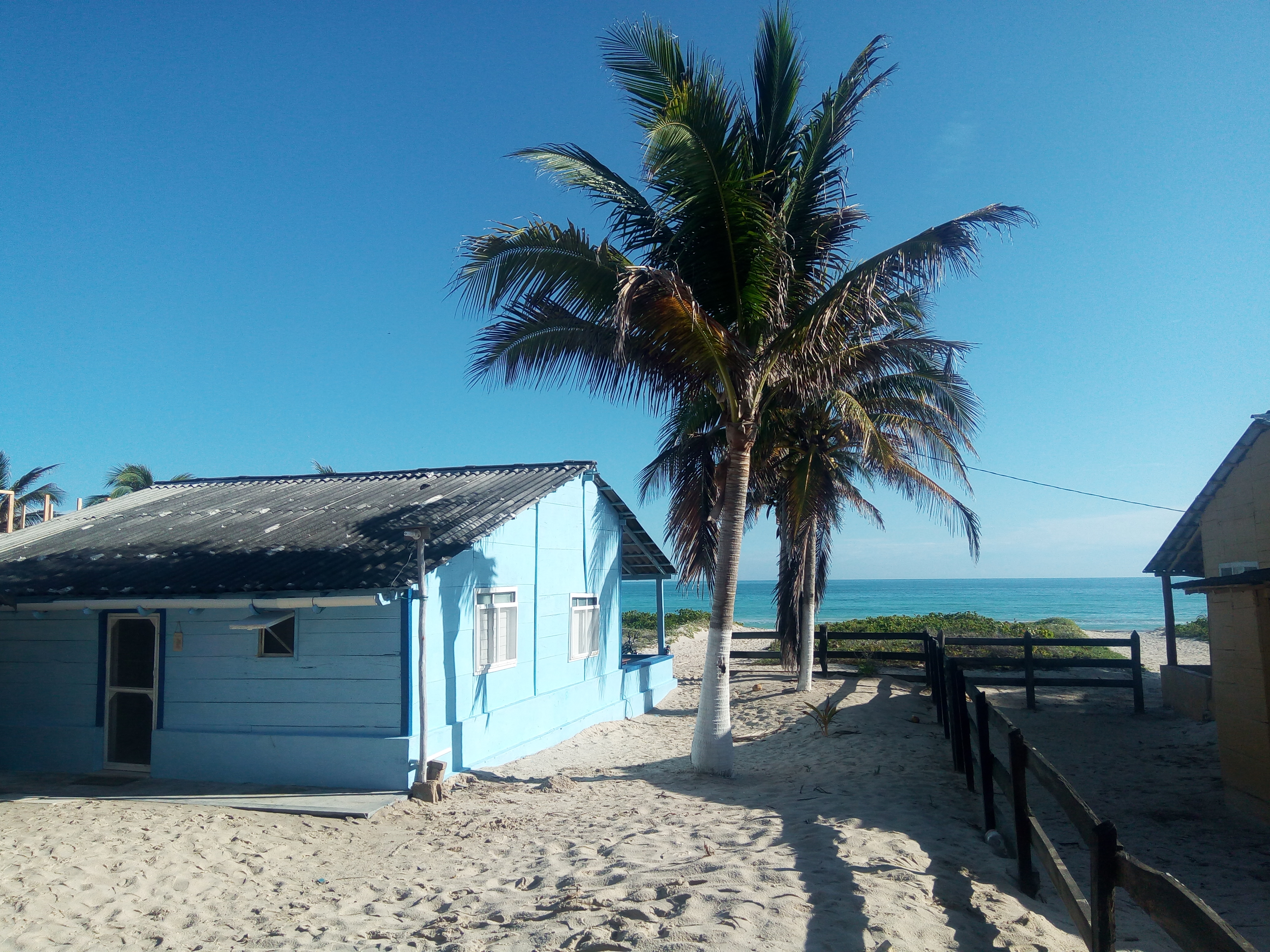 La Historia detrás de «La Casita Azul» – La Casita Azul
